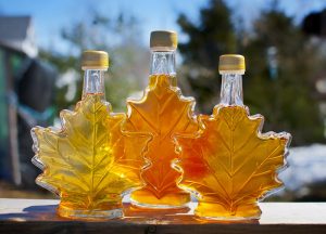 Tree Sap Harvesting: Reaping the Benefits of Natural Medicine - Trees ...