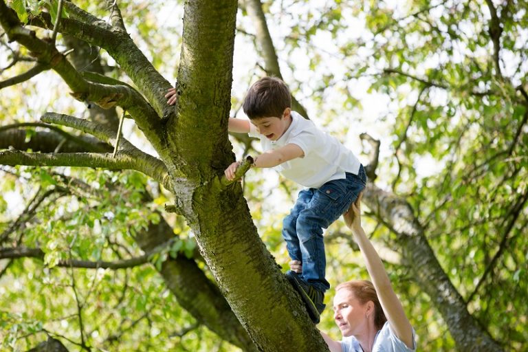 Why Kids Love Climbing Trees | Best Climbing Trees Guide