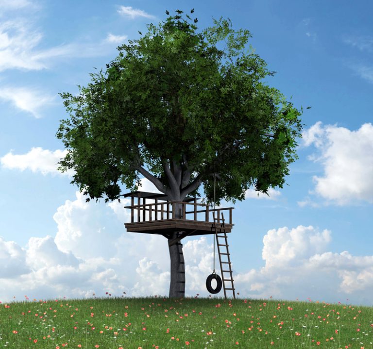 Top 10 Reasons Why We Love Trees