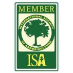 How to Choose Trees by Shape | Trees Unlimited NJ