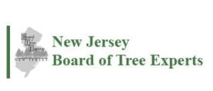 How to Choose Trees by Shape | Trees Unlimited NJ