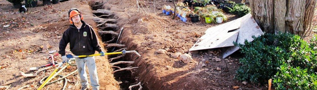 Tree Protection Services in Wayne NJ | Tree Preservation Services in NJ