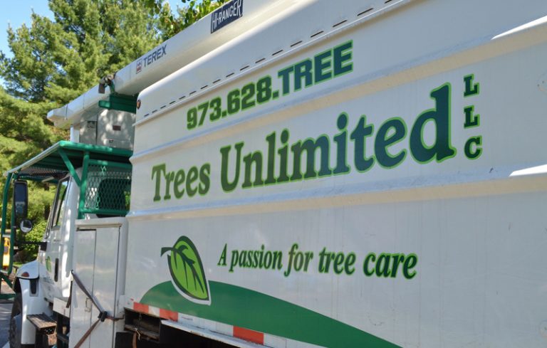 When and How to Fertilize Trees - Trees Unlimited NJ